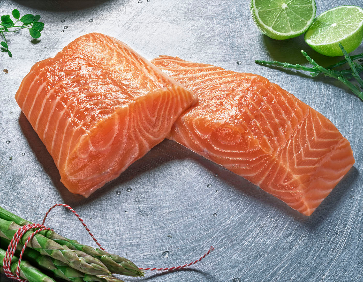 Zalm | The Fishlovers – The FishLovers