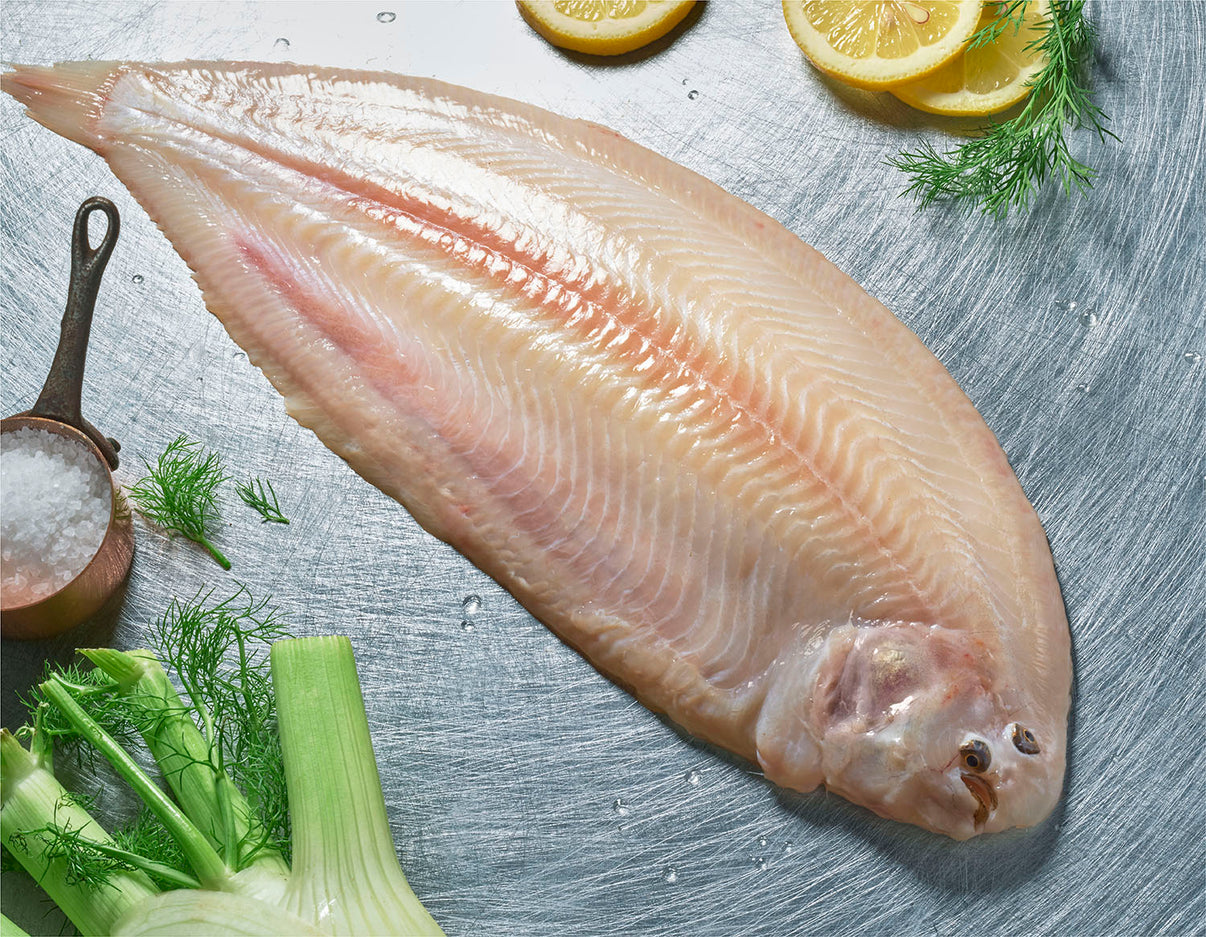 Noordzee Tong – The FishLovers