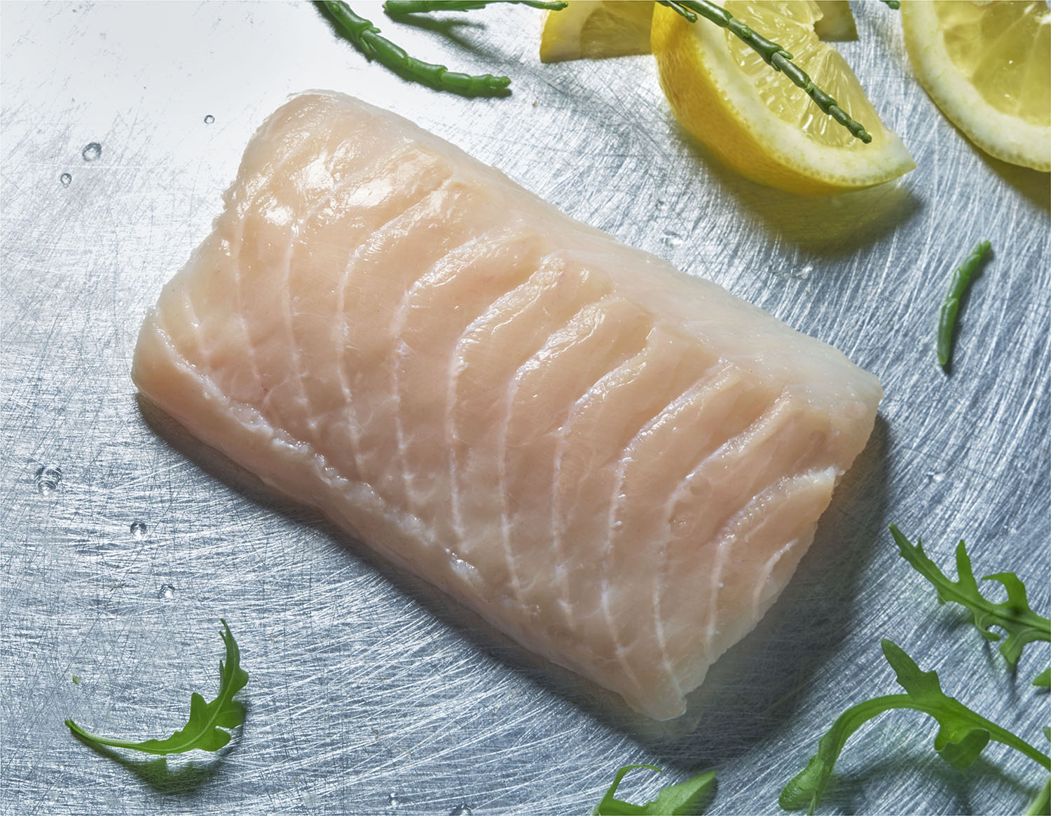 Verse Zeewolffilet Bestellen? | The Fishlovers – The FishLovers