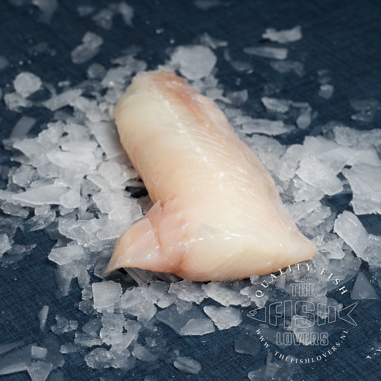 Verse Zeewolffilet Bestellen? | The Fishlovers – The FishLovers