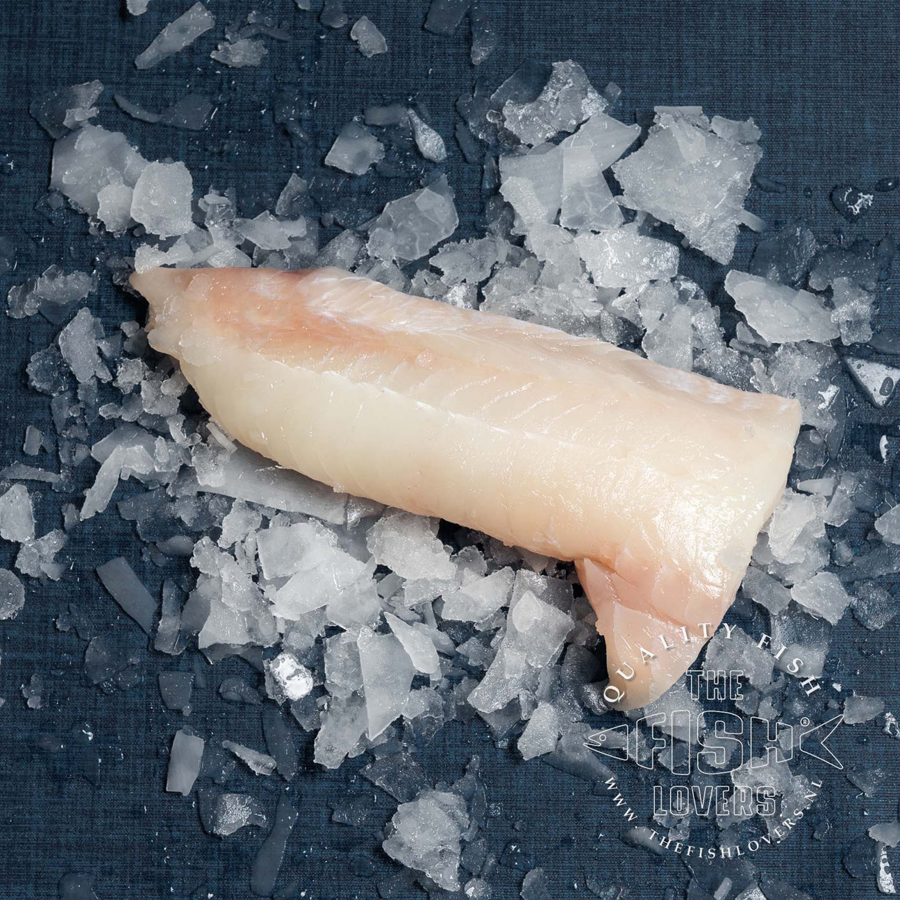 Verse Zeewolffilet Bestellen? | The Fishlovers – The FishLovers